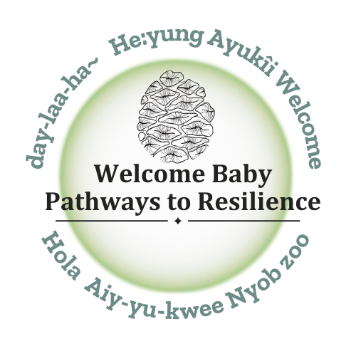Welcome Baby: Pathways to Resilience & the Family Spirit Home Visiting ...